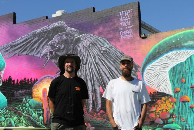 Glow up for Millicent | The South Eastern Times