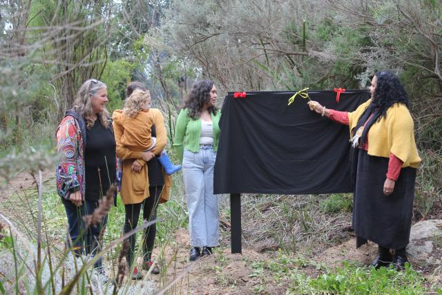 Reconciliation Week celebrated side by side | The South Eastern Times