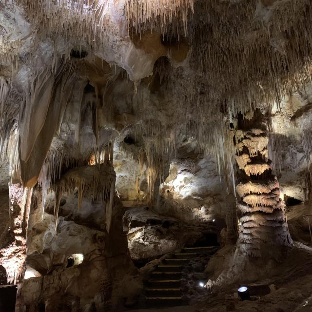 Tantanoola Caves recognition for impressive display | The South Eastern ...