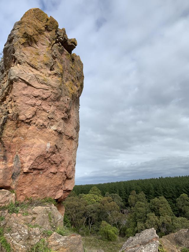 Tantanoola Caves recognition for impressive display | The South Eastern ...