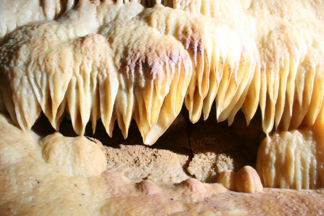 Tantanoola Caves recognition for impressive display | The South Eastern ...