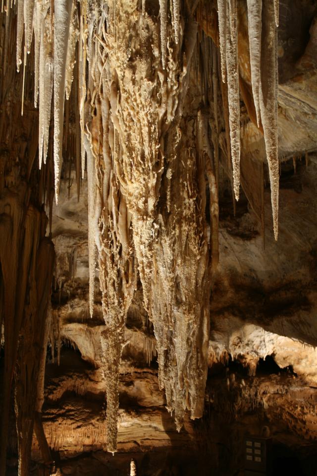 Tantanoola Caves recognition for impressive display | The South Eastern ...