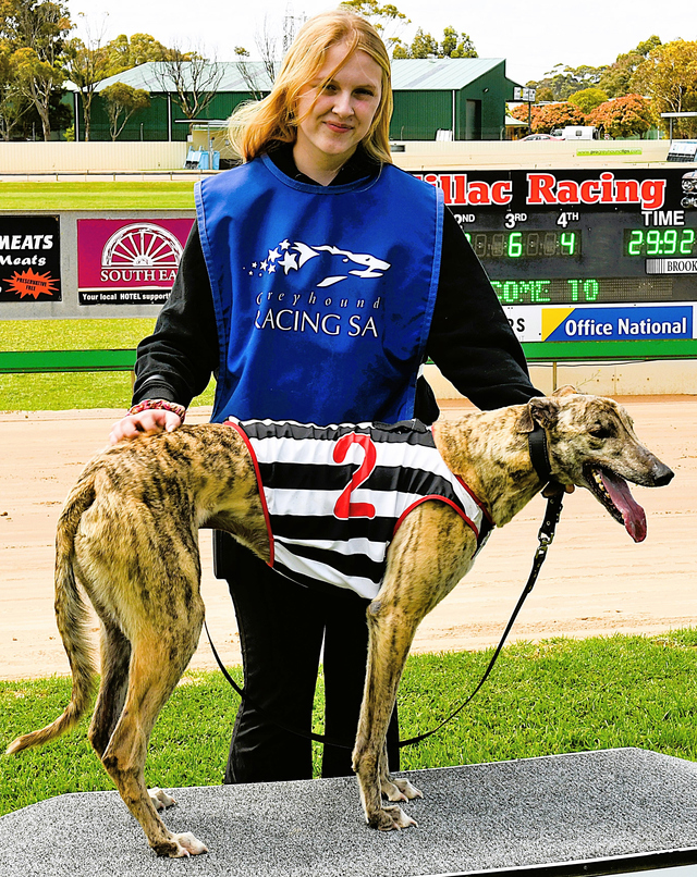 Kilkenny keeps on coming | The South Eastern Times