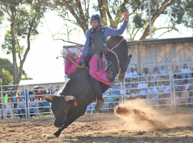 Rodeo chute out | The South Eastern Times