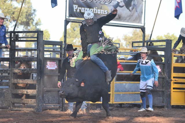 Bumper crowd for Penola rodeo | The South Eastern Times
