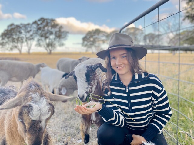 New chapter reaps rewards | The South Eastern Times