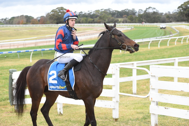 Pateman at his very best | The South Eastern Times